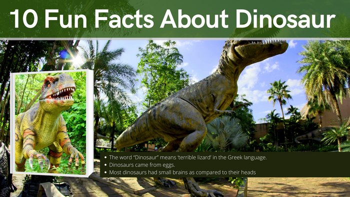 10 Fun Facts About Dinosaur