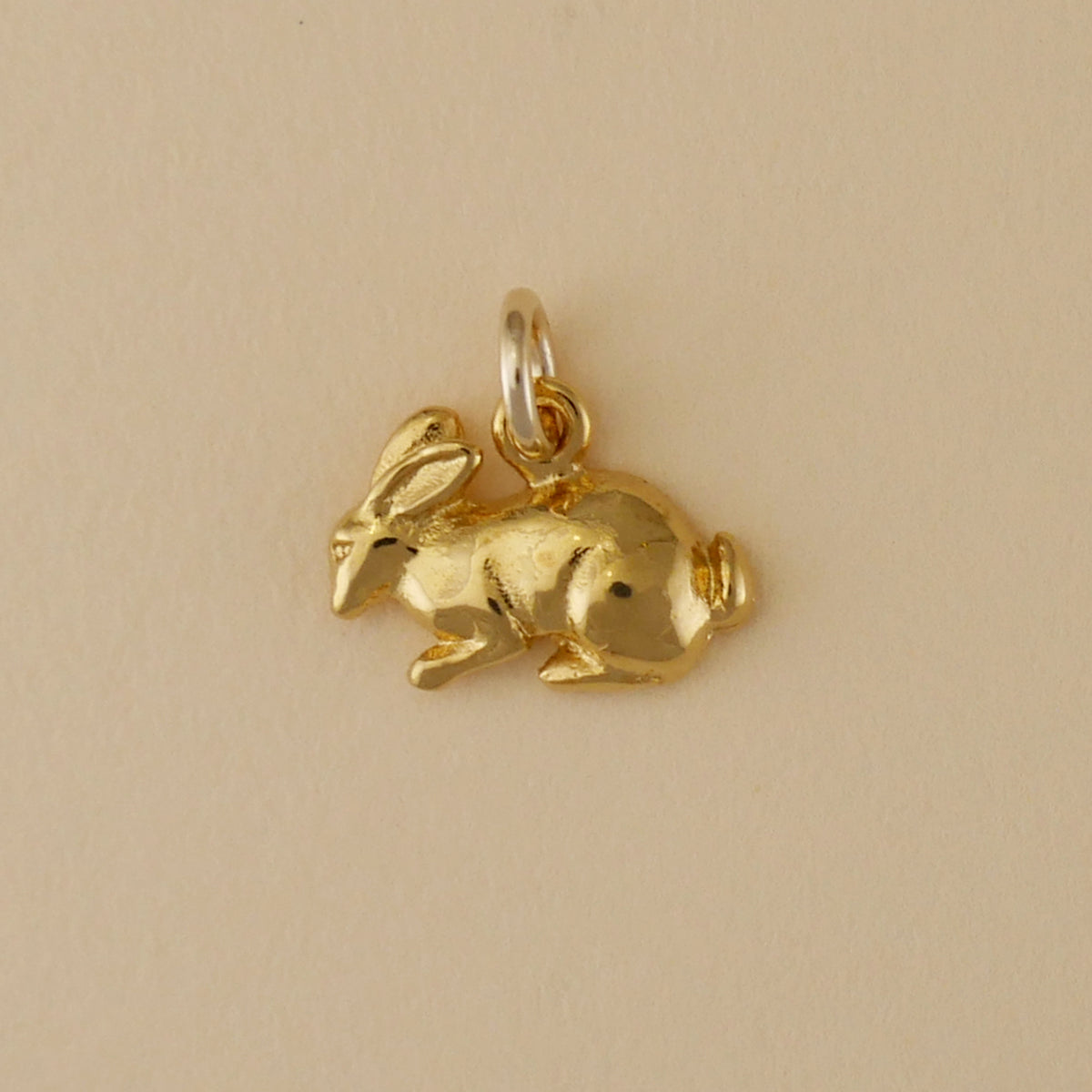 Bunny Rabbit Charm | Animal Jewelry | CharmWorks