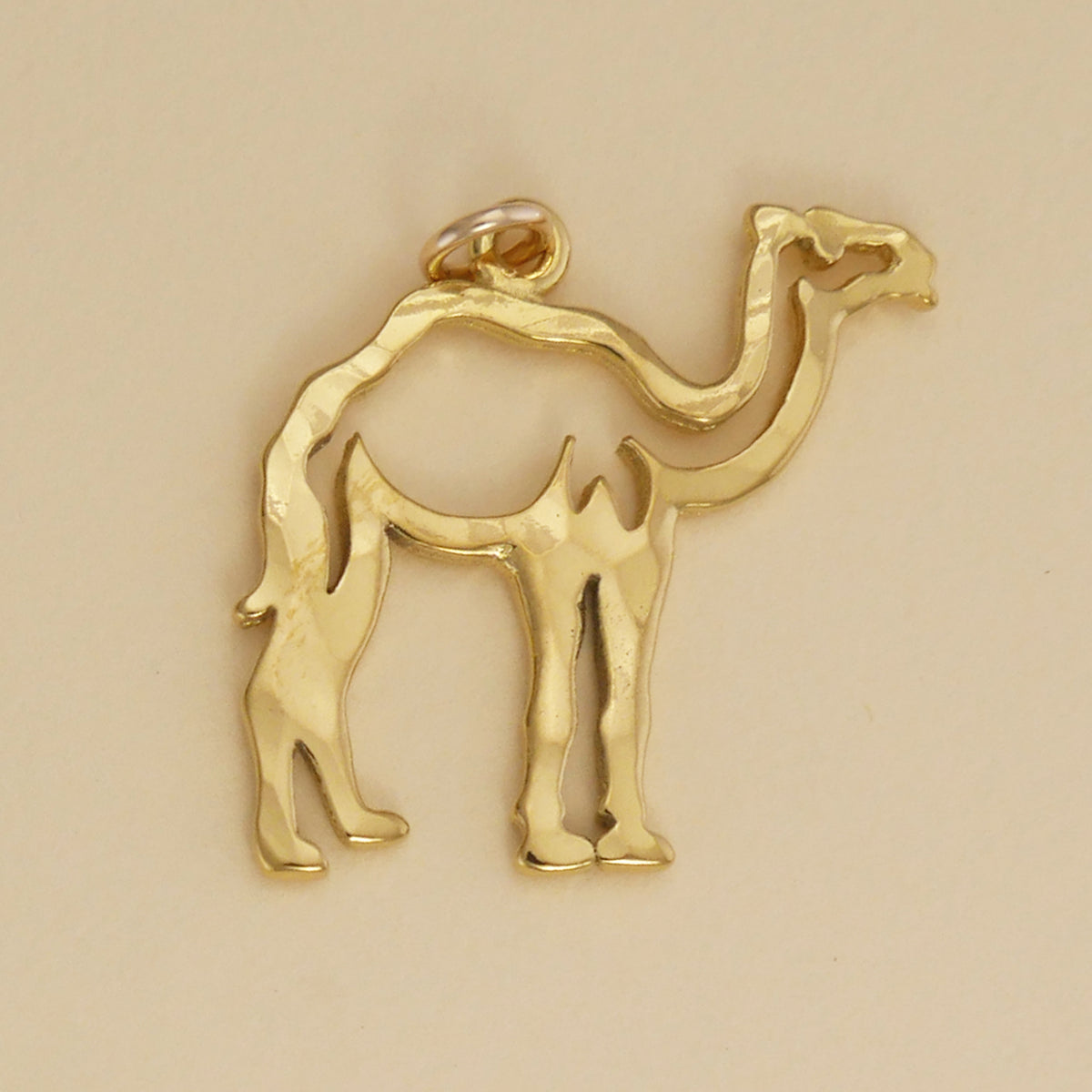 Camel Charm | Animal Jewelry | CharmWorks