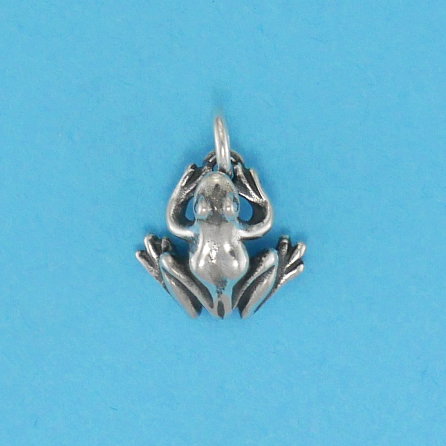 Frog Charm | Animal Jewelry | CharmWorks