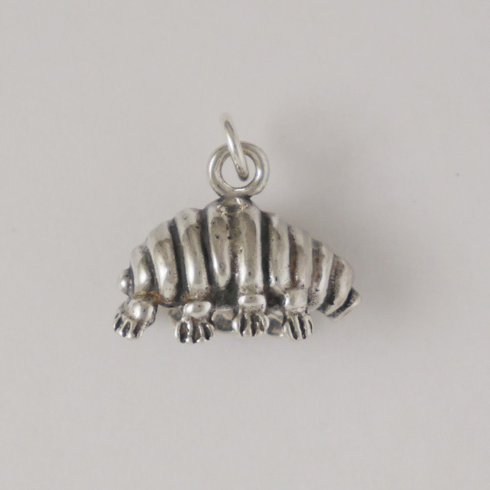 Tardigrade Charm | Science Jewelry | CharmWorks