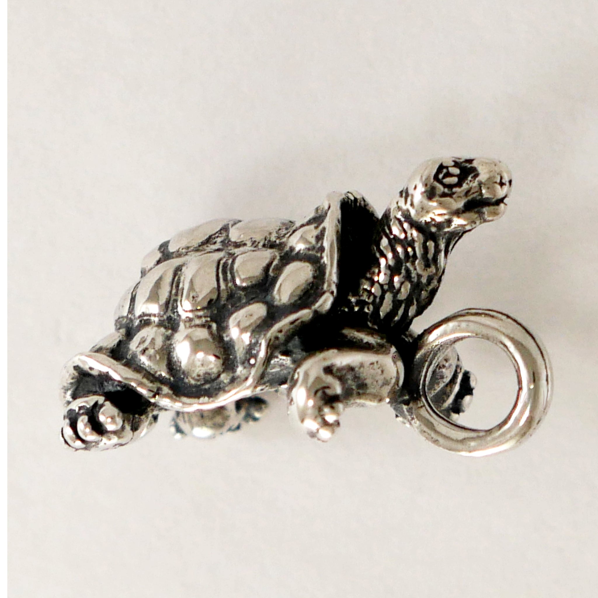 Galapagos Tortoise Pendant | Animal Jewelry | CharmWorks