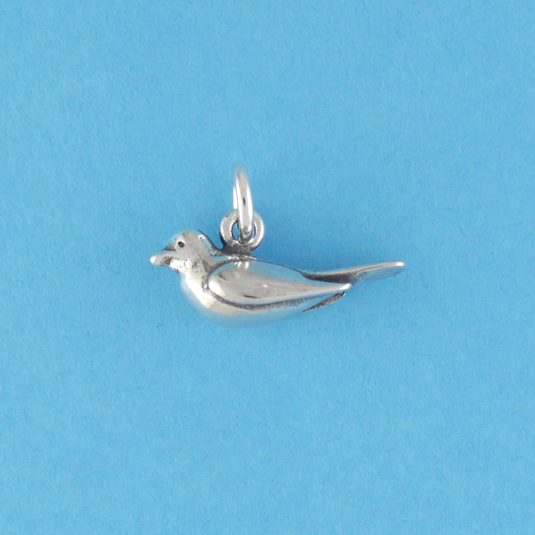 Robin Charm | Nature Jewelry | CharmWorks