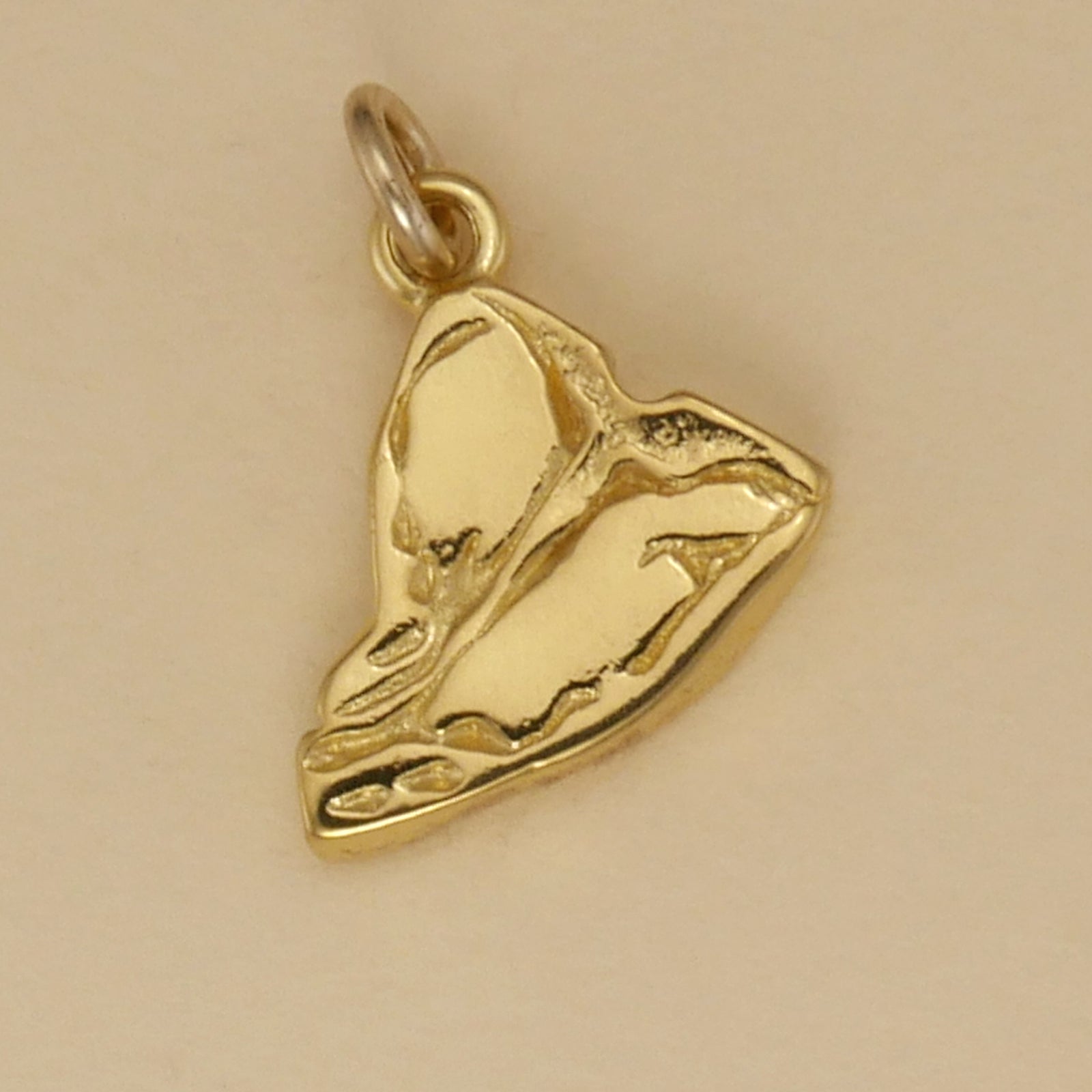T Bone Steak Charm | Foodie Jewelry | CharmWorks