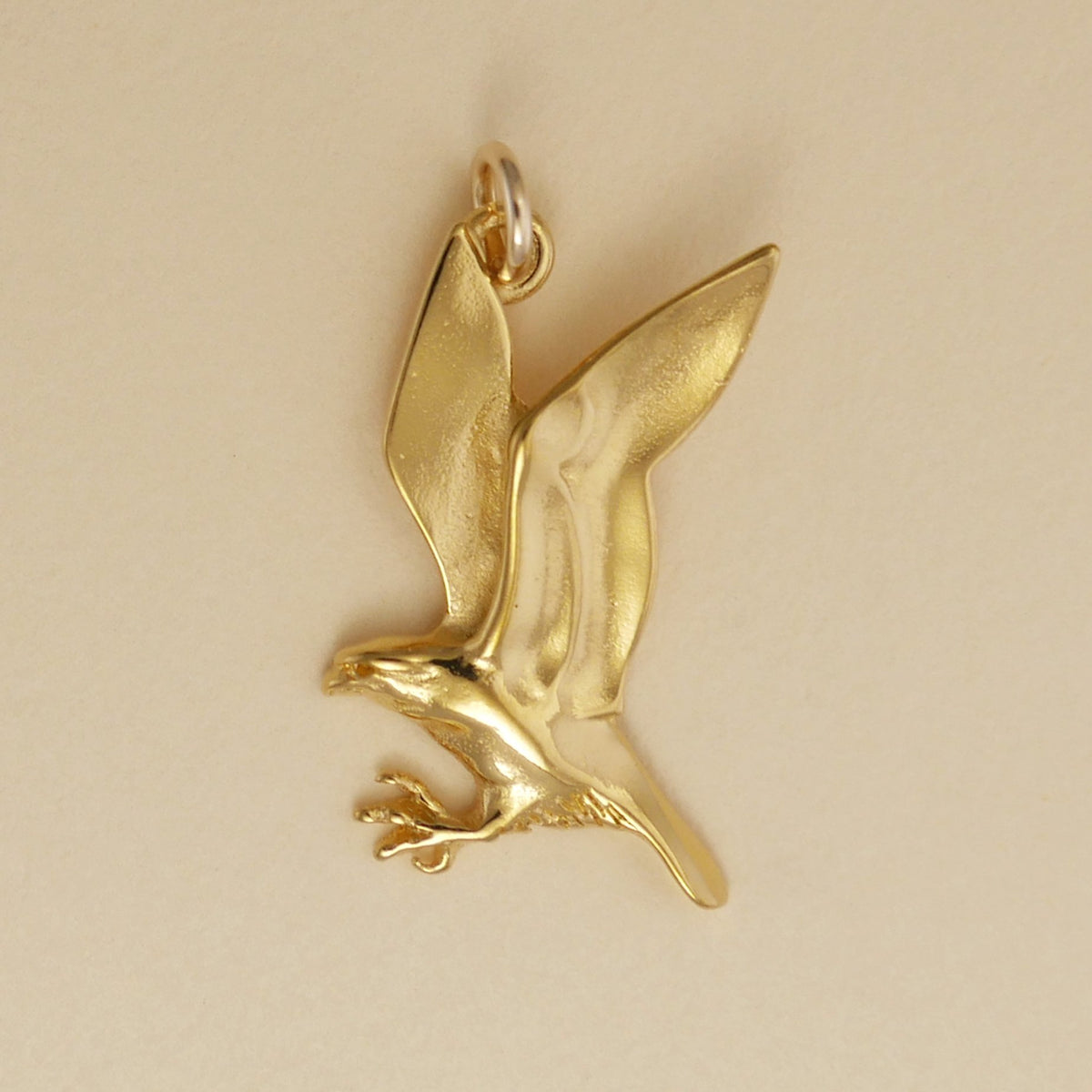 Landing Falcon Charm | Bird Jewelry | CharmWorks