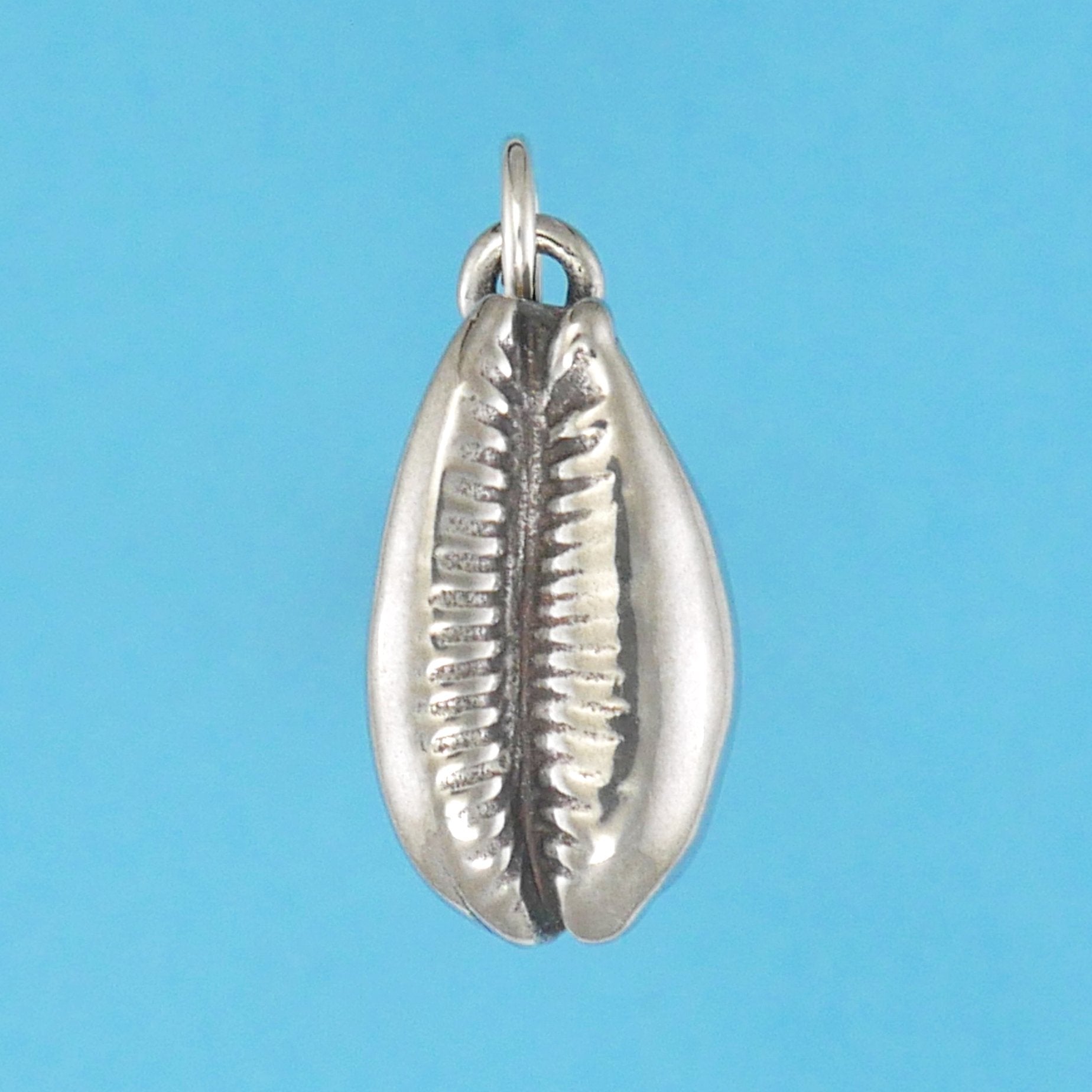 Cowrie Shell Charm | Sea Life Jewelry | CharmWorks