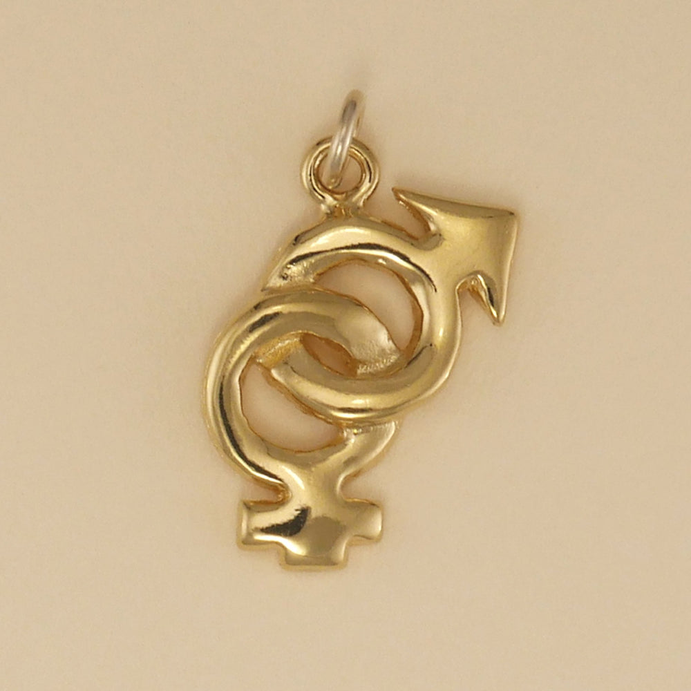 Shop Linked Male Female Symbols Charm – CharmWorks