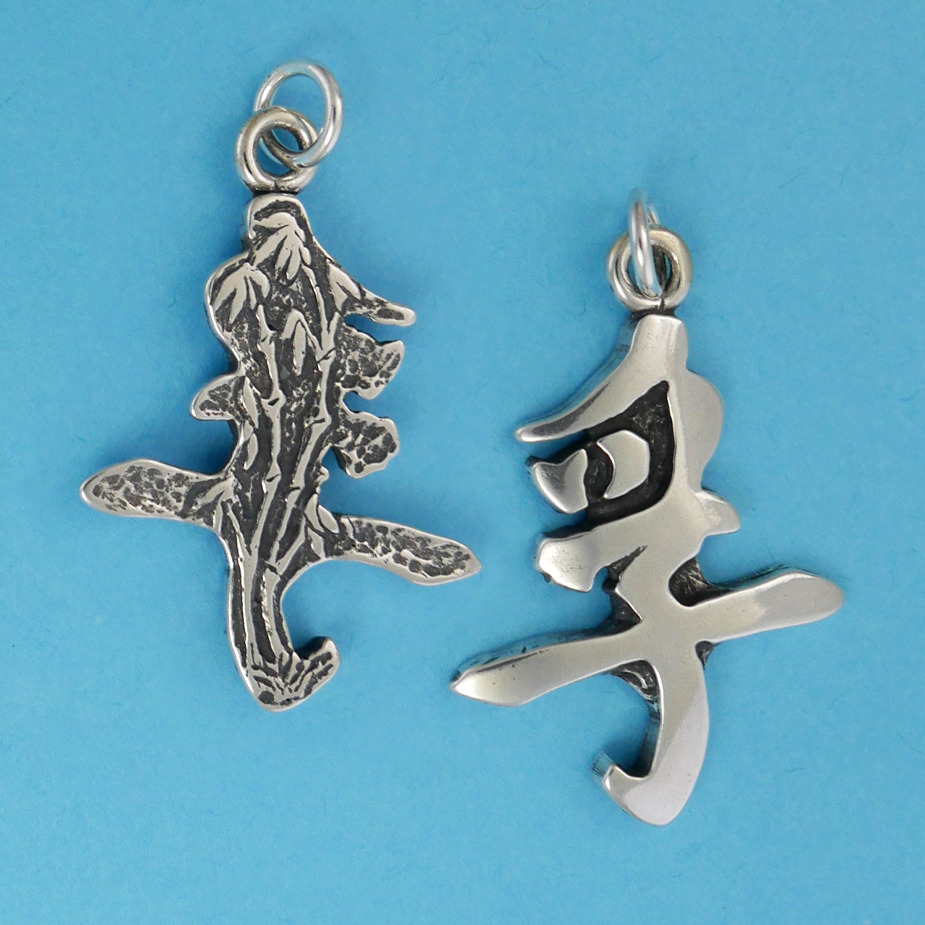 Fu Kanji Pendant | Spiritual Jewelry | CharmWorks